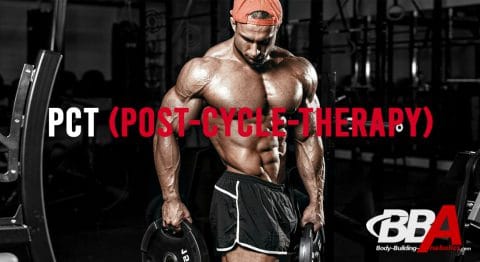 PCT after a Steroid Cycle: Guide to a Proper Post Cycle Therapy - body ...